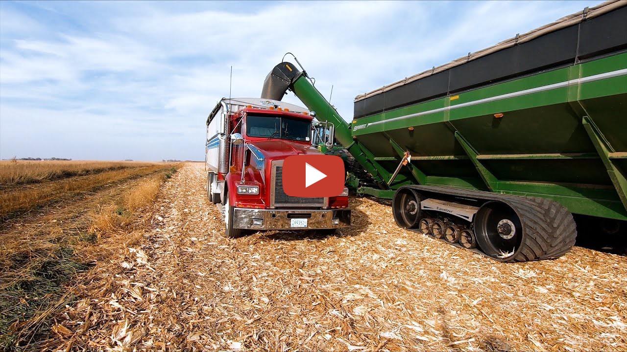Larson Farms -- Big Carts Small Trucks .. Corn Harvest 2022 in full ...