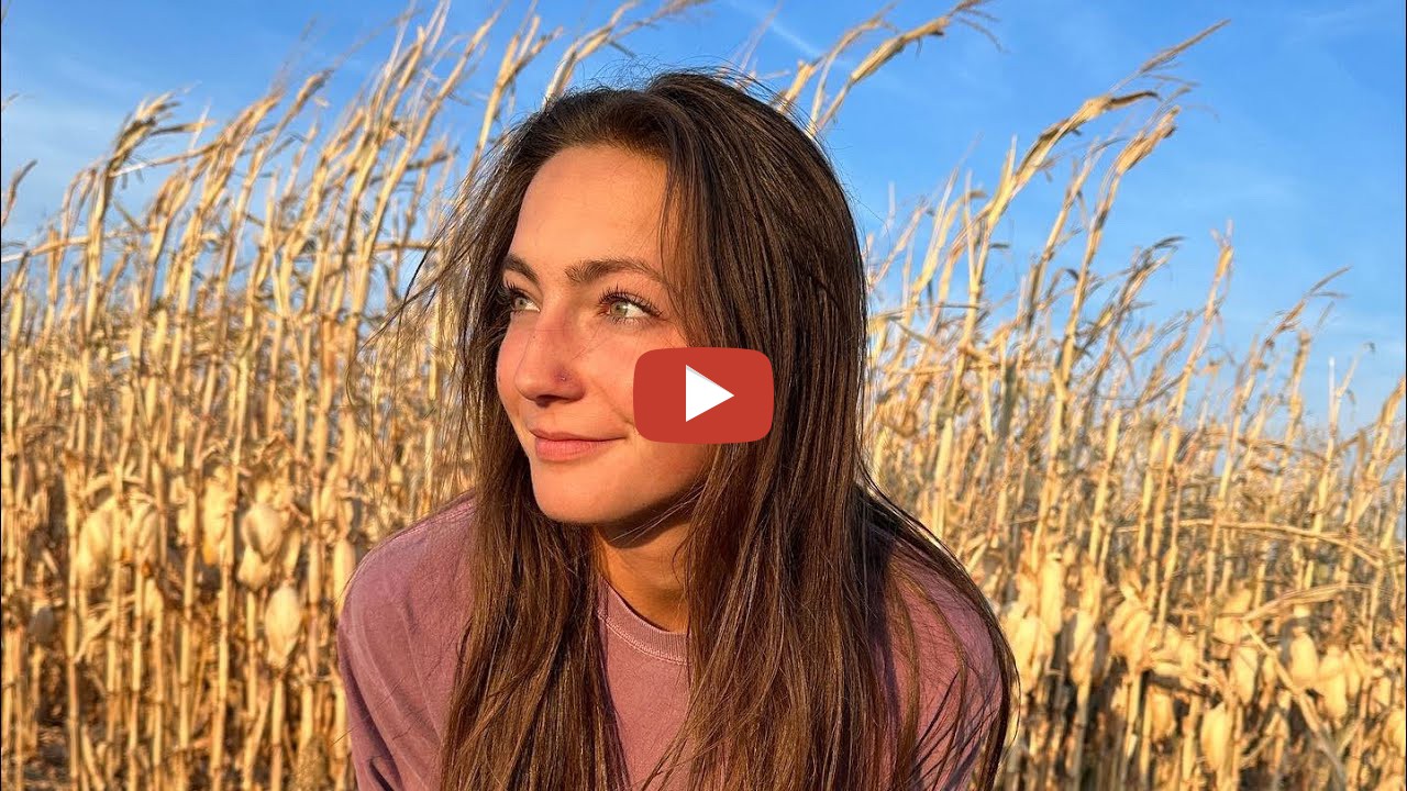 Laura Farms Surrounded By Corn -Corn harvest 2022 in full swing .. John ...