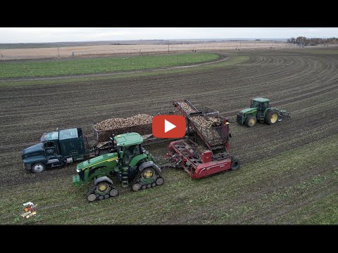 Mike Less - Farmhand Mike -- Family farm from Colorado as they harvest ...