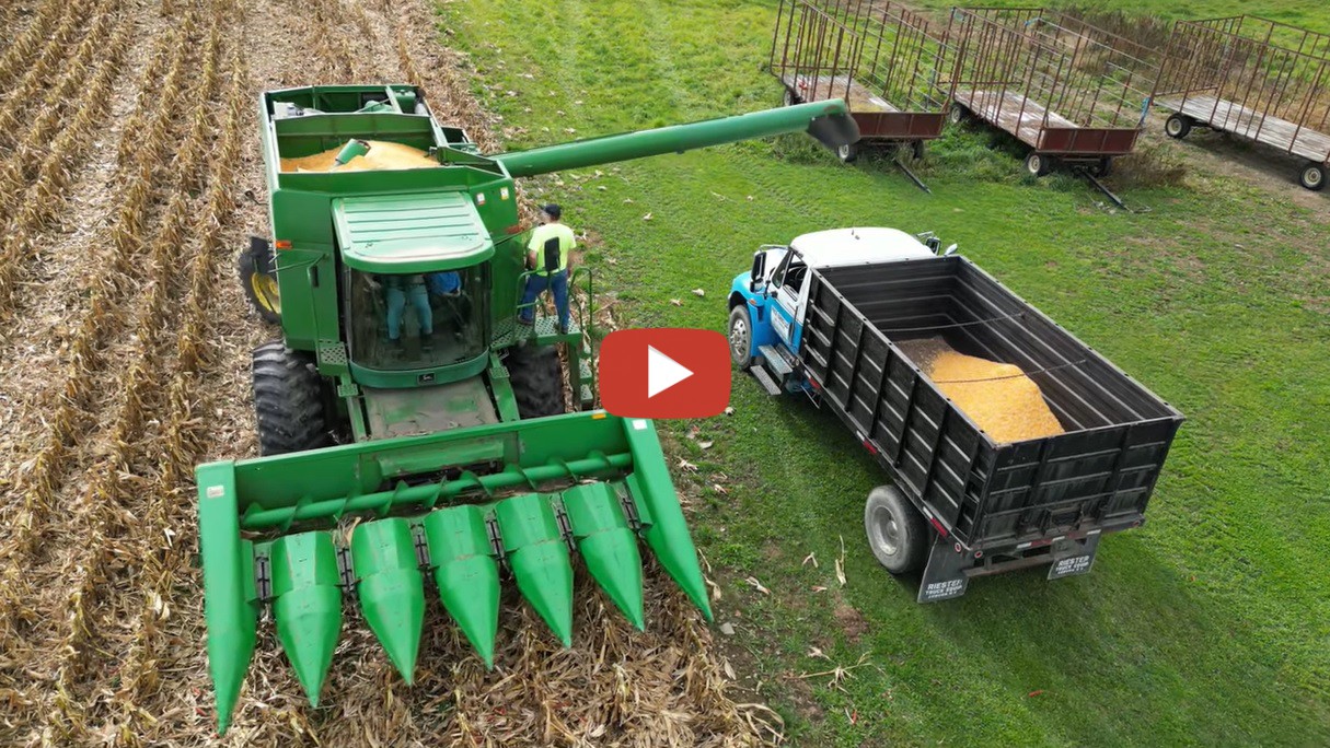 *Mikep7810 - Combining high moisture corn and storing it whole kernel ...