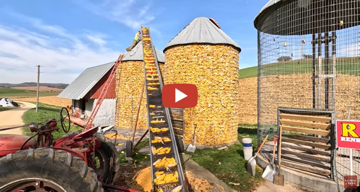 Harvest 2022 -- It is the last big day of picking corn on our family's ...