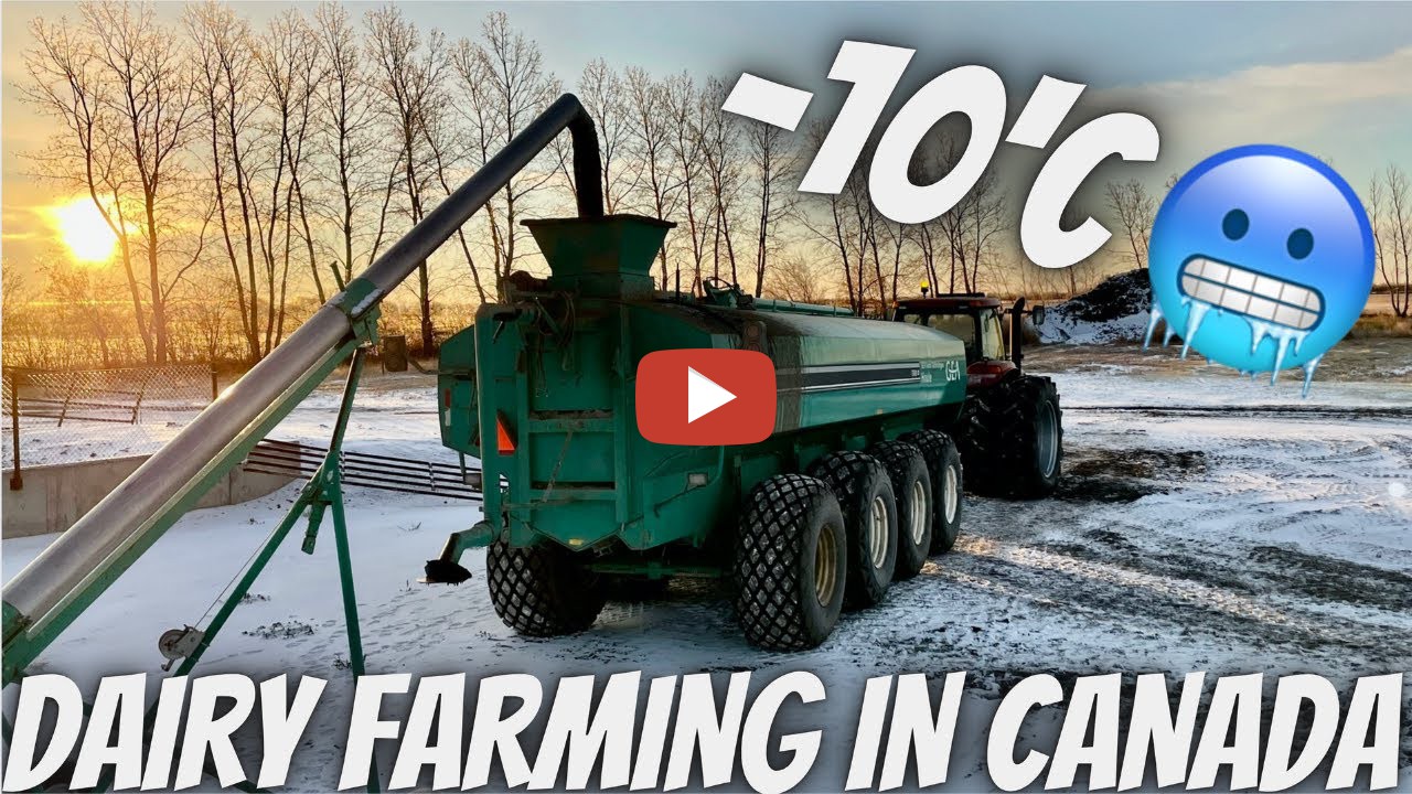 SaskDutch Kid -- Hauling Liquid Manure In Sub Zero Temps -Last time to ...