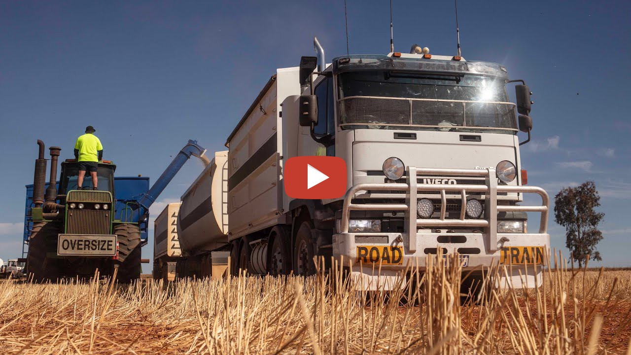 Spring Park Farms has got off to a good start in Mullewa with their ...