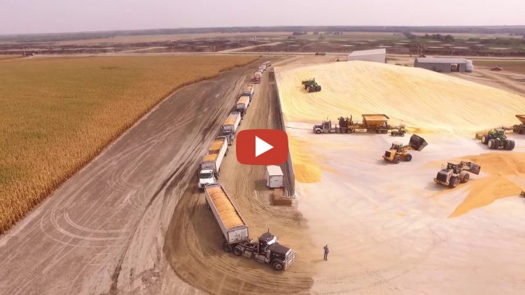 Big Corn Pile.......Using John Deere tractors and wheelloaders ...