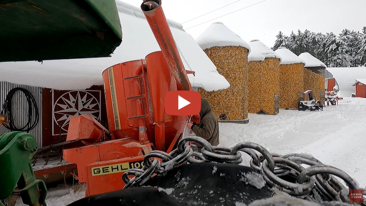 Gierok Farms - Grinding Corn for Christmas! Today we show you our ...