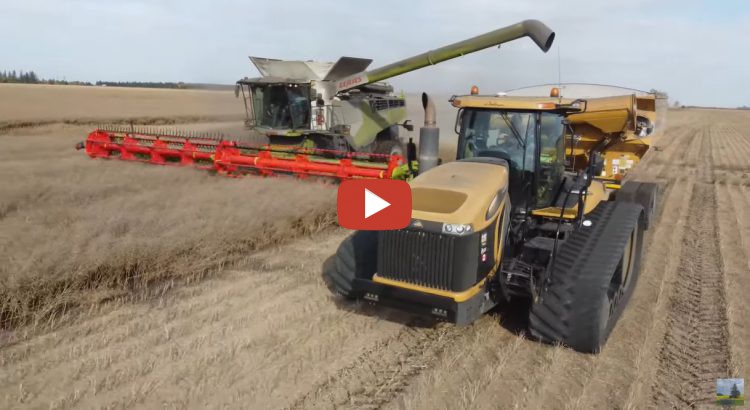Two CLAAS Lexion Model 7500 combines straight cutting canola in ...