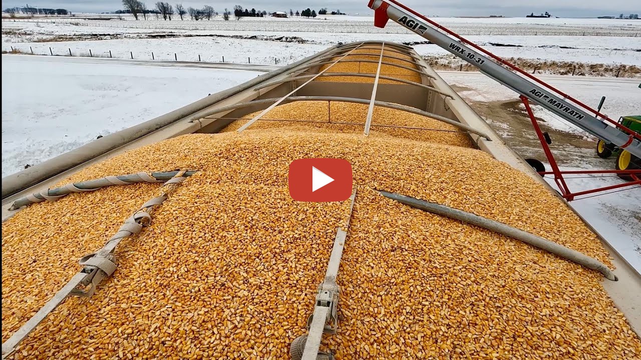 I just about spilled corn everywhere! Lots happens in this video so try ...