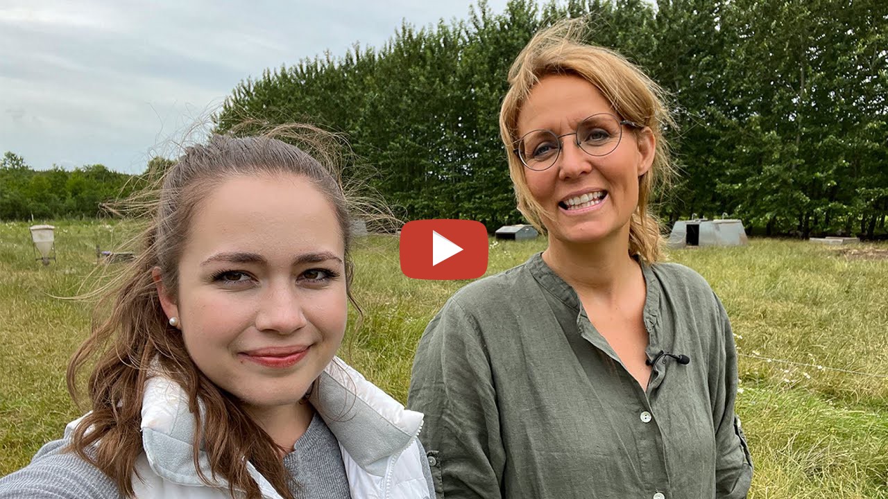 Kate's Ag - Farm to Fashion 2023 -- Today I am at the Hestbjerg Organic ...