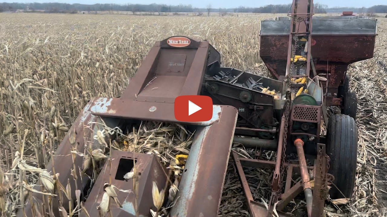 Knapp Farms Is explaning how it's work....Picking ear corn “The Right ...