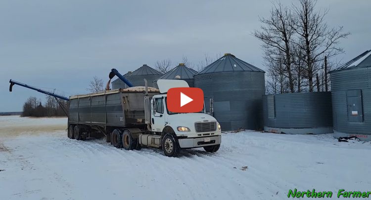 *Northern farmer -- Selling Wheat!! Big prices?? We sold all our wheat ...