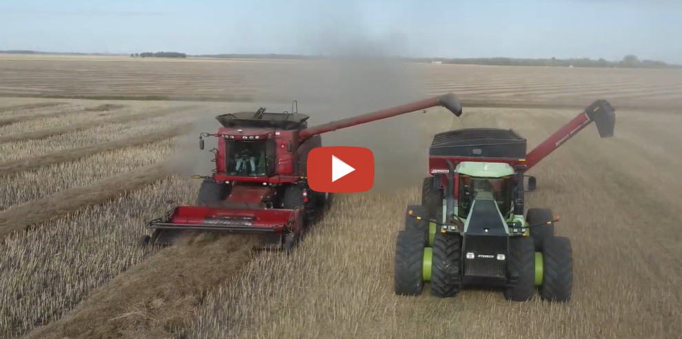 ^CaseIH 9120 Canola Manitoba --A look back at the fall 2022 canola ...