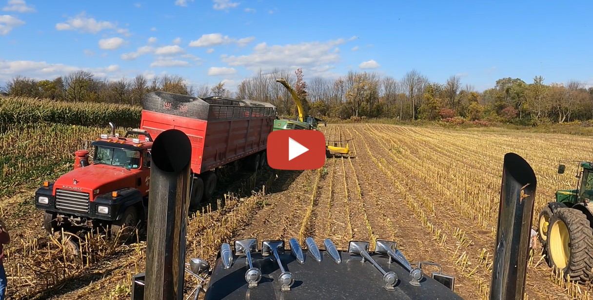 Sunday ride in the W900 on a fall Day hauling corn silage nice sound ...