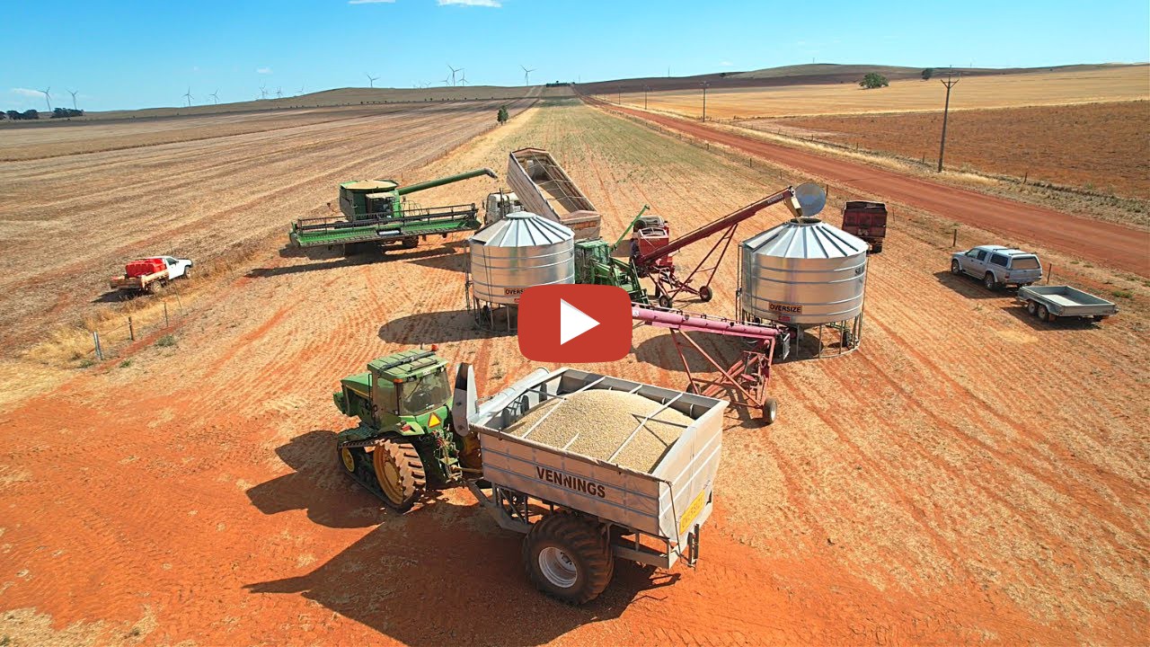 Faba bean harvest was way harder than we expected. We really battled ...