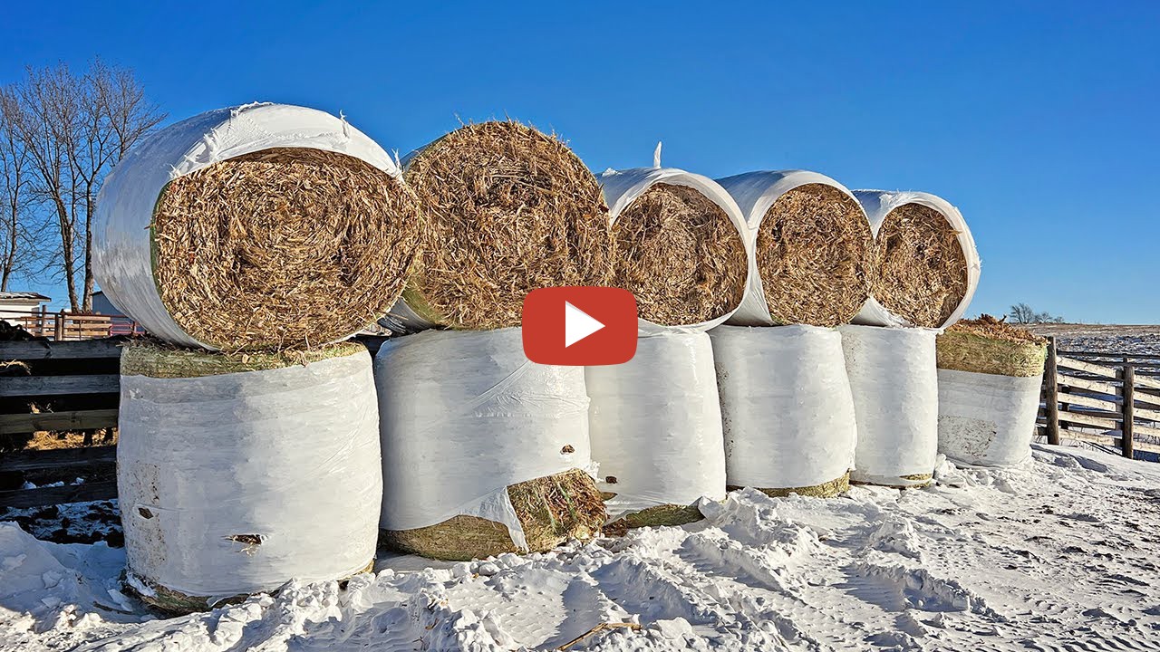 How Farms Work -- Winter's Fury - We Must Build A Wall! We created a ...