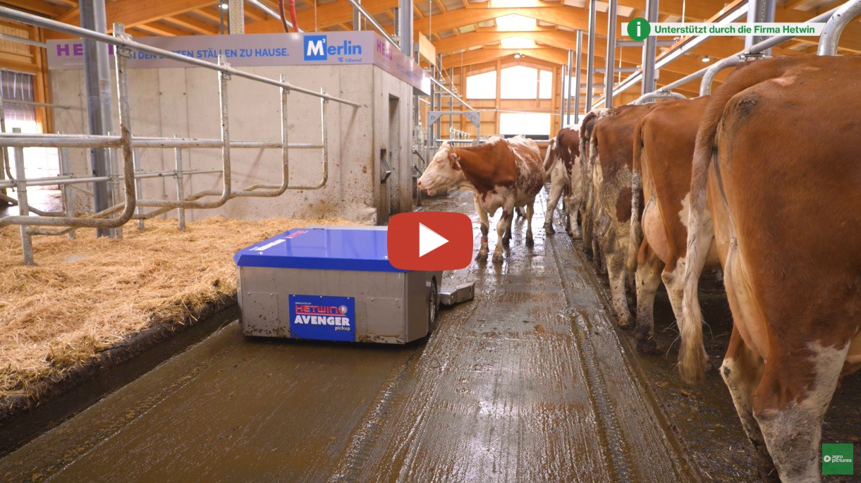 Cleaning the barn with a Hetwin Avenger Pickup manure robot ...