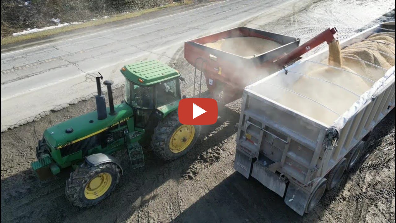 Mikep7810 -- Loading up soybeans to be sent to our feed mill. Loading ...
