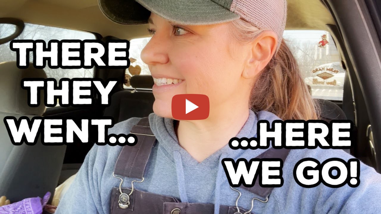 This Farm Wife - Meredith Bernard -- Full Send! Bin Sweep and Learning ...