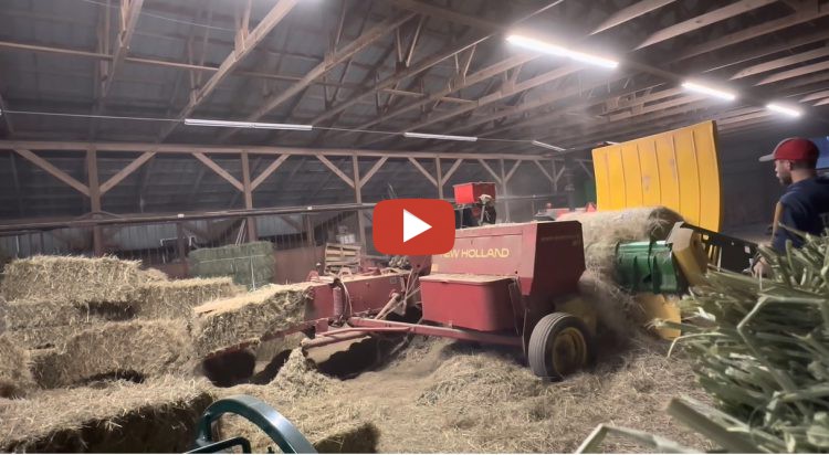 HayBroke -- Turning Round Bales in to $$$$ -We are taking round bales ...