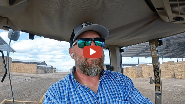 Almost Out Of Hay -- Loading and transporting Hay -- Bales Hay Farm and ...