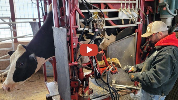 Millennial Farmer teams up with the world-renowned mid western ...