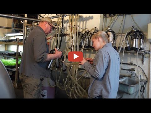 TayFarms -- Milk processing upkeep on a small dairy farm…. Hi guys!! So ...