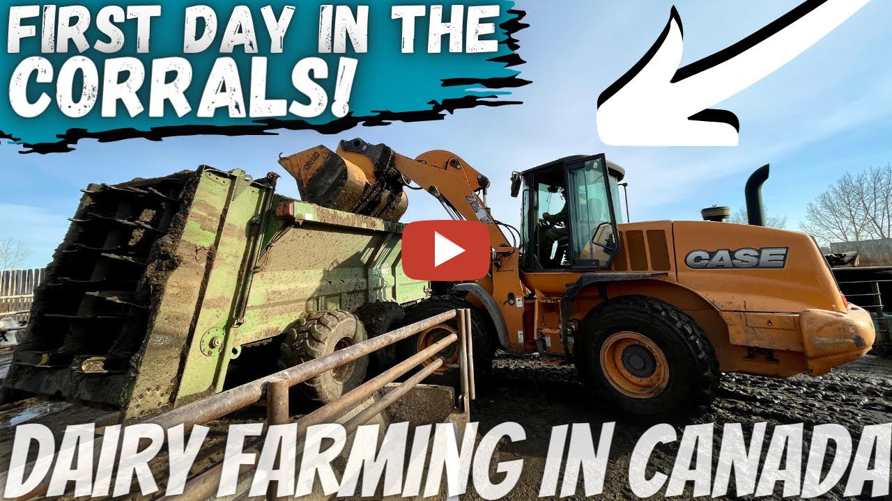 Getting Into The Corrals! Manure Spreading with Case ih ...