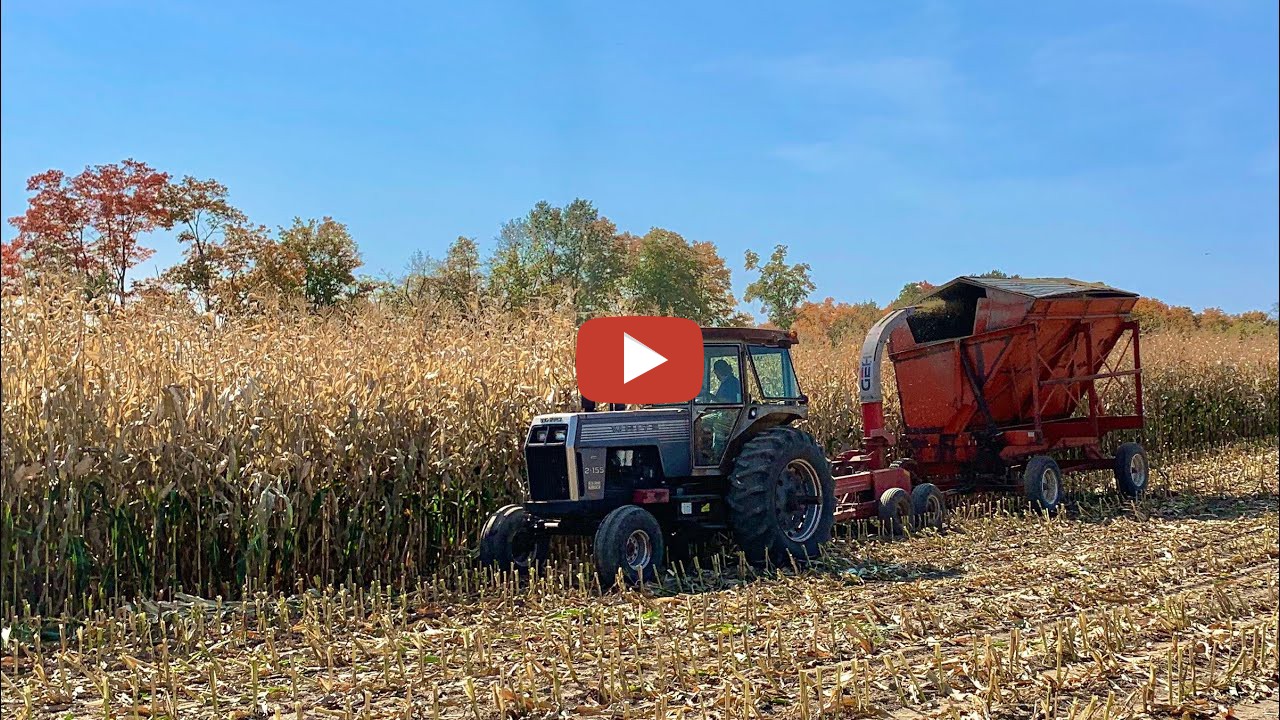 Red Iron Acres -- Forage harvesting corn with the White 2-155 and Gehl ...