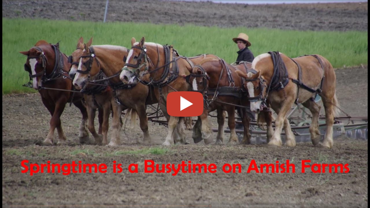 AMISH FARMS in Lancaster County PA - Spring is always a busy time for ...