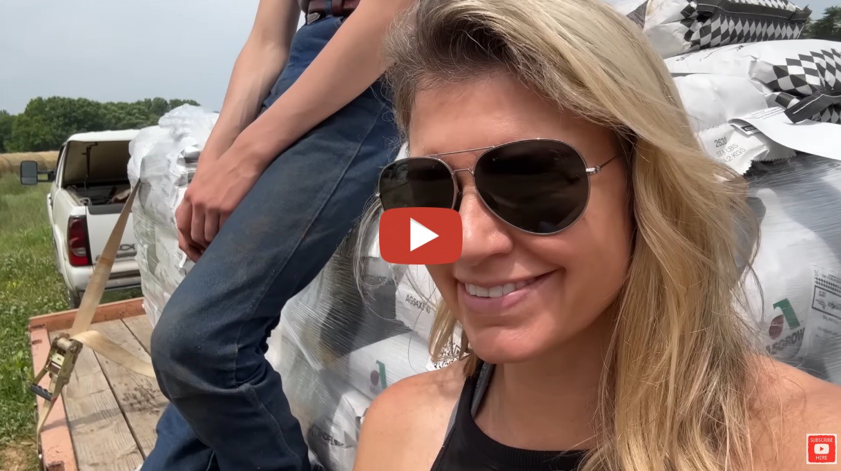 This Farm Wife - Meredith Bernard -- Planting Beans With a Side of Big ...