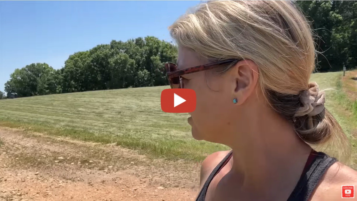 This Farm Wife - Meredith Bernard - Things Are Looking Up...First Cut ...