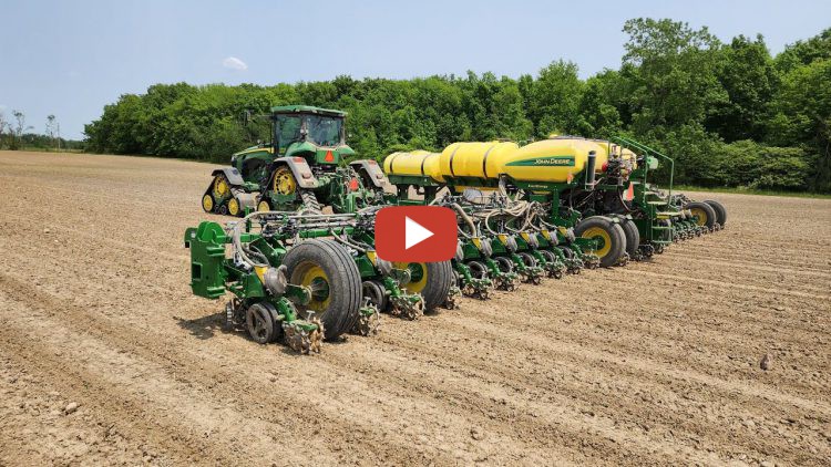 Planting Was So Much Fun I Decided to do it Again! Cornplanting spring ...