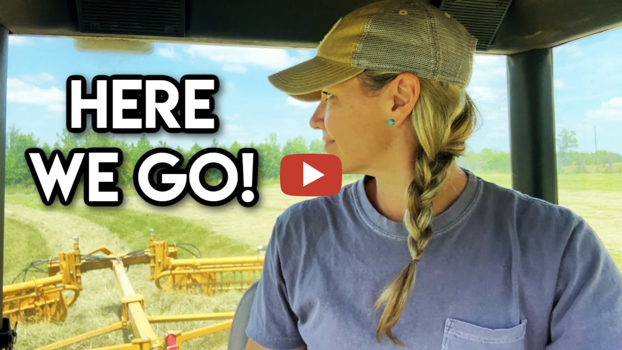 This Farm Wife - Meredith Bernard -- It’s hay time! First cut has come ...