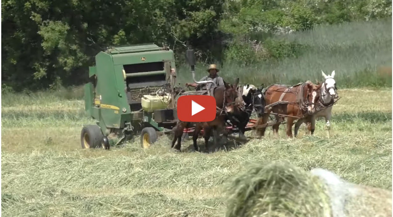 Springtime Baling around Lancaster County's Amish Land. Baling Big and Small Bales - AmishPA
