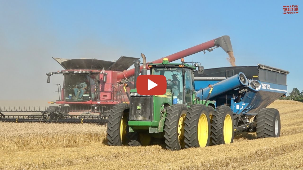 bigtractorpower 2023 --HARVESTING WHEAT Double Cropping Soybeans in the field following the ...