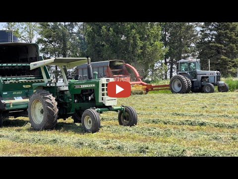 Cutting and chopping some first crop alfalfa for the dairy cows! -Oliver tractors and New ...