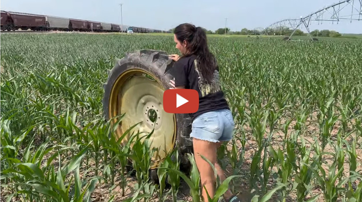 Laura Farms -- Pivot Irrigator vs. Drip Irrigation -- Changing wheels ...