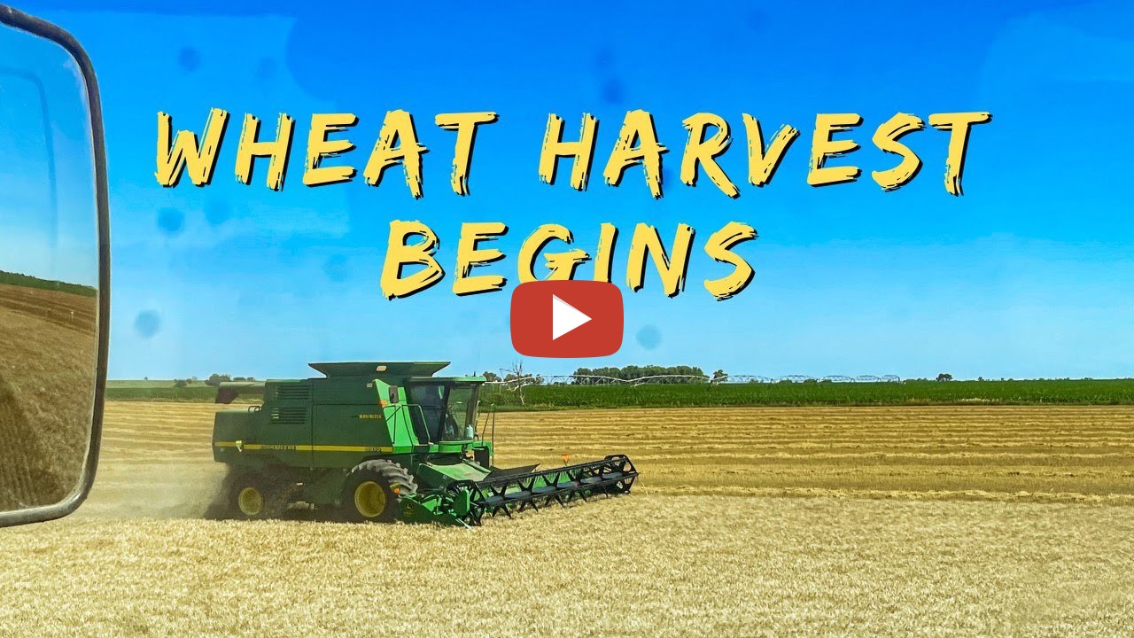 Peterson Farm Bros -- Wheat harvest begins on our farm in Kansas. John ...