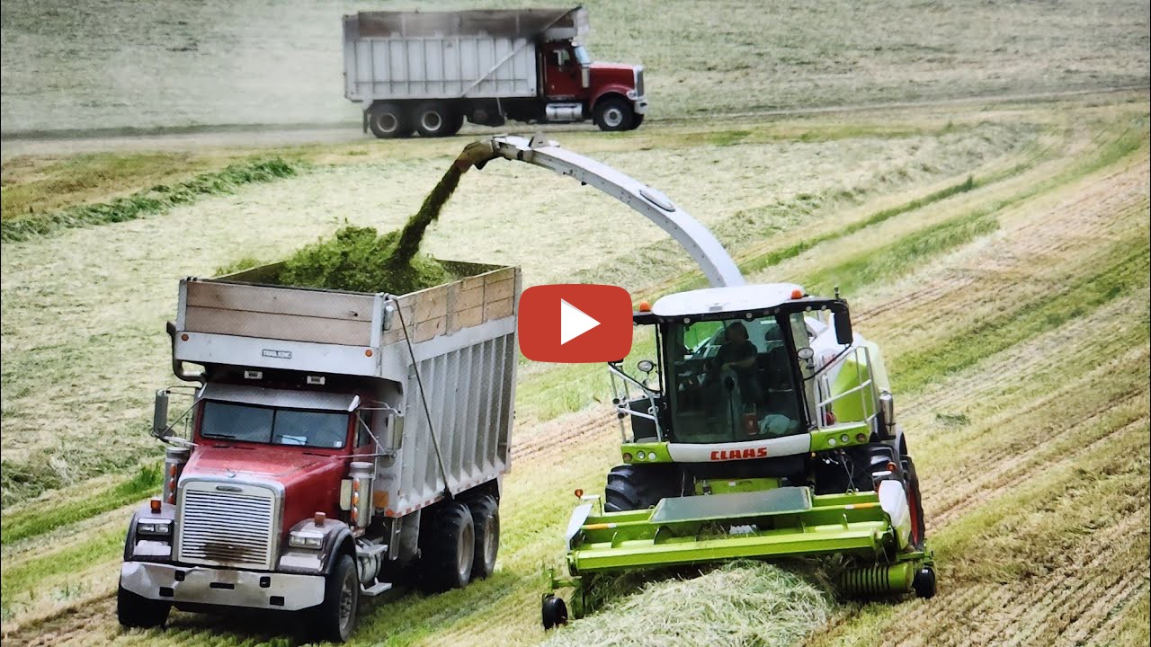 Rohrer Dairy Spring Harvest 2023 Claas Jaguar chopper and John Deere ...