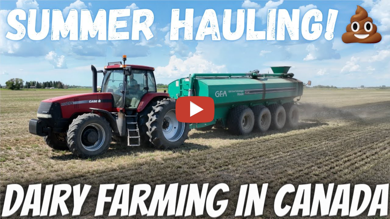 SaskDutch Kid -- Spreading Manure On Our Alfalfa Fields! After the ...