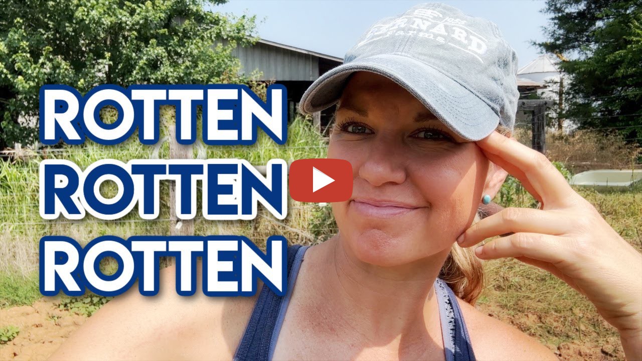 This Farm Wife - Meredith Bernard -- The Day That Keeps On Giving ...