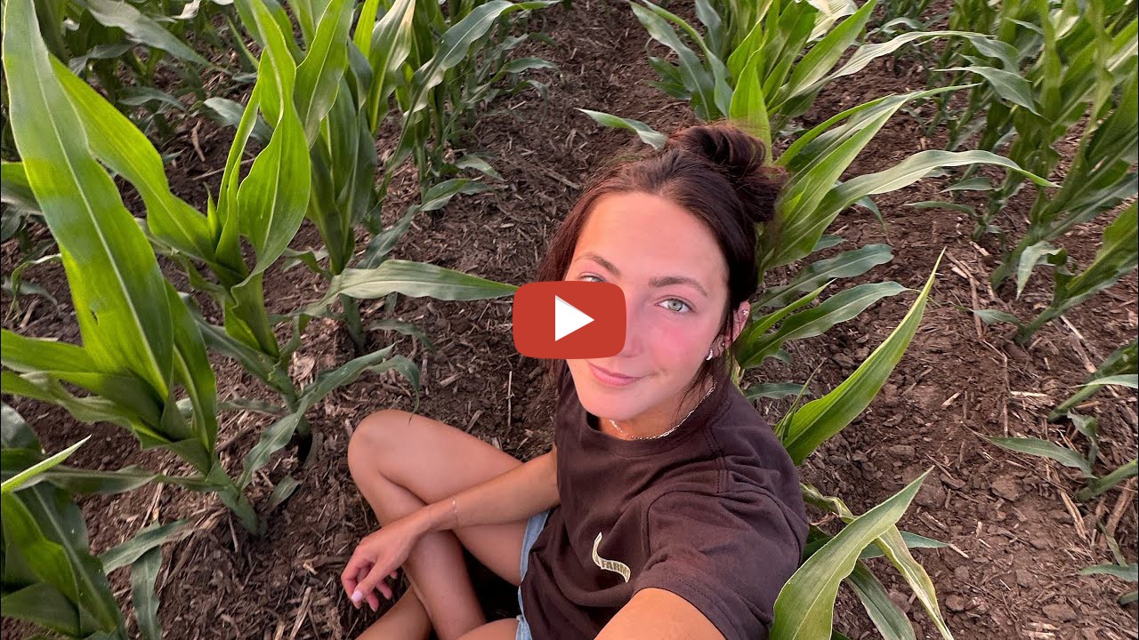 Laura Farms -- Laying Out Pipe In A Corn Field -- it's still dry in ...