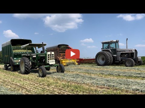 Leuenberger Dairy -- Harvesting new seeding triticale/alfalfa! 2023 With Oliver tractors and New ...