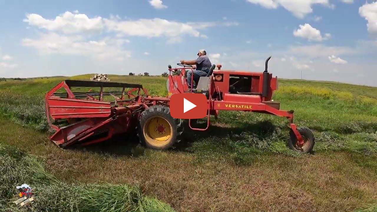 Mike Less - Farmhand Mike -- Swathing Hay in North Dakota with a ...