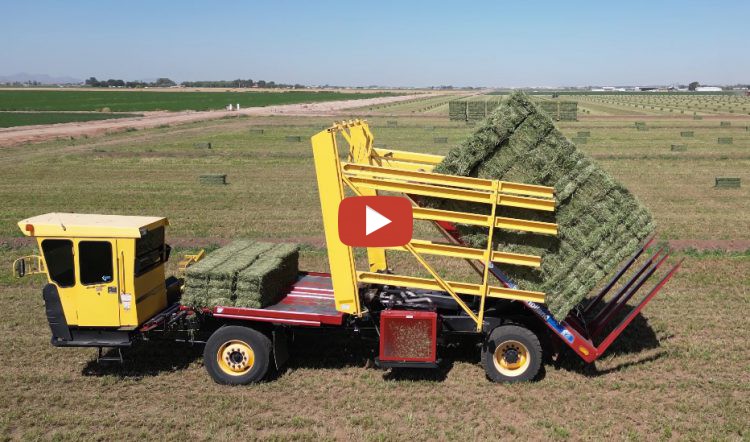 Bales Hay Farm and Ranch -- Bailing and Stacking With the Drone Fendt ...