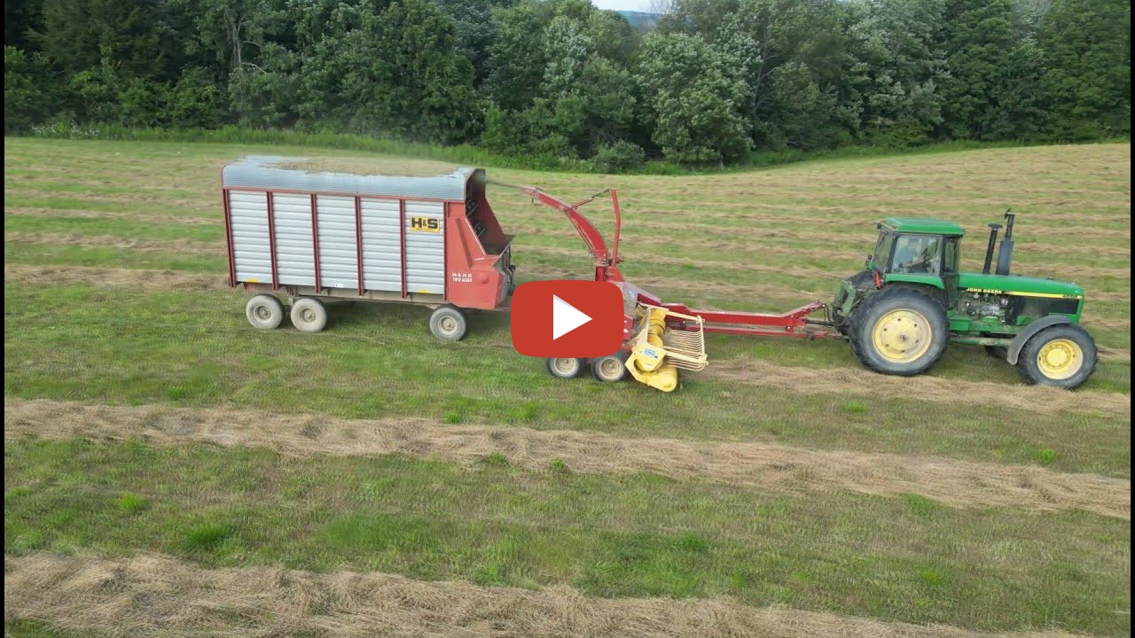 Mikep7810 -- Chopping alfalfa with a New Holland FP240 forage harvester for haylage for our ...