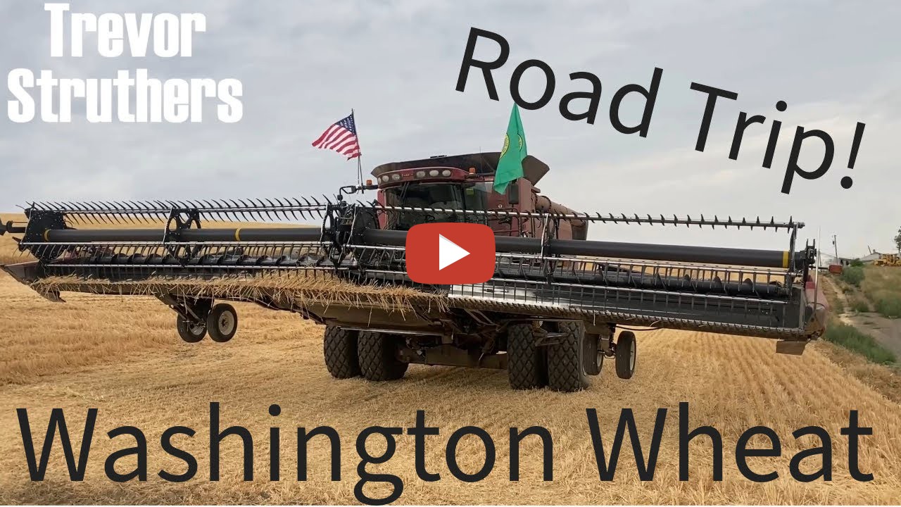 *Trevor Struthers -- Wheat Harvest on the move - CASE Combines ...