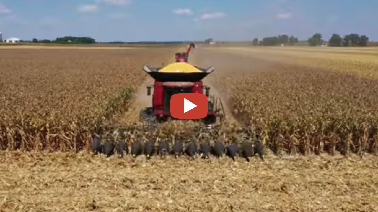 Corn Harvest continues in Lawrence County, Illinois Continues ...