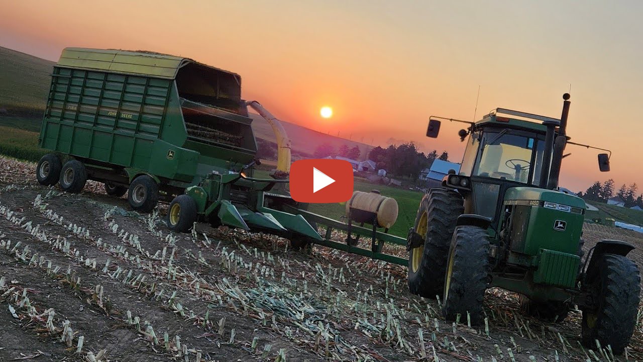 Corn Silage 2023! John Deere 3970 and John Deere 716a -- iowadairyboys