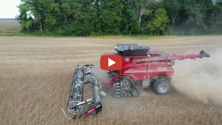 How To Grow 80 Bushel Soybeans at David Cage blog
