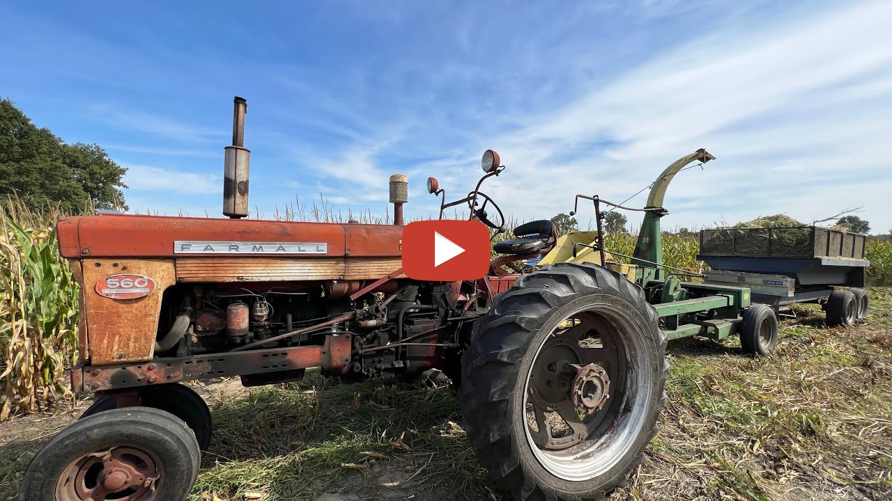Knapp Farms -- Chopping corn silage for the brood cows with the 1958 ...